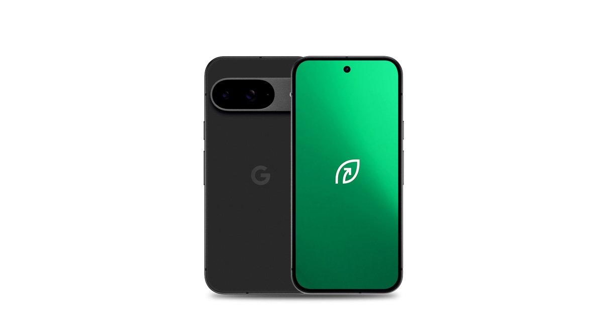 Google Pixel 9 (128GB) - Obnovljen Pixel z 1-letno garancijo v Sloven...